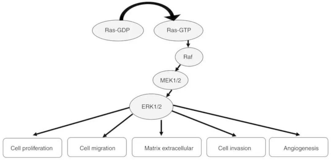 Bioanalysis | Clinical significance and detection of the ear... - Futubull Community